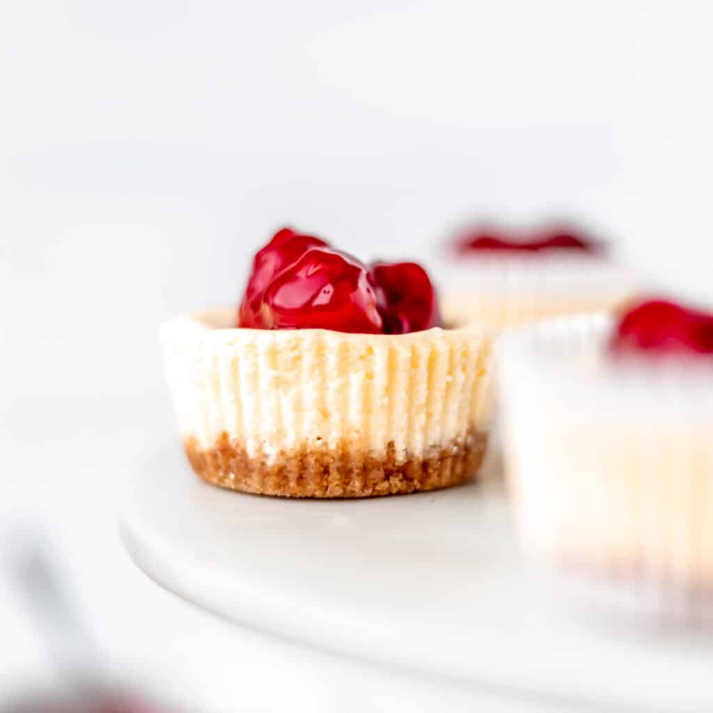 Mini Cheesecake Cupcakes - Delicious Little Bites Mini Cheesecake Cupcakes - Delicious Little Bites